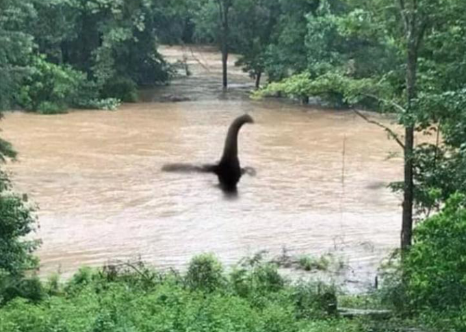 Police Department Reports They See Creatures not Normally Seen in Ohio ...