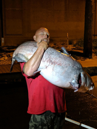 Illinois: Record breaking Blue Catfish - Scioto Post