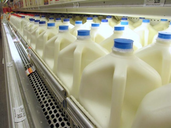 Can I Freeze My Milk Gallons to Save for Later Use? Yes with Caution ...