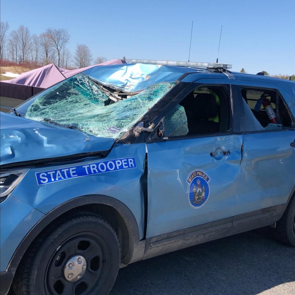 Maine State Trooper Hits Moose, Totals Cruiser - Scioto Post