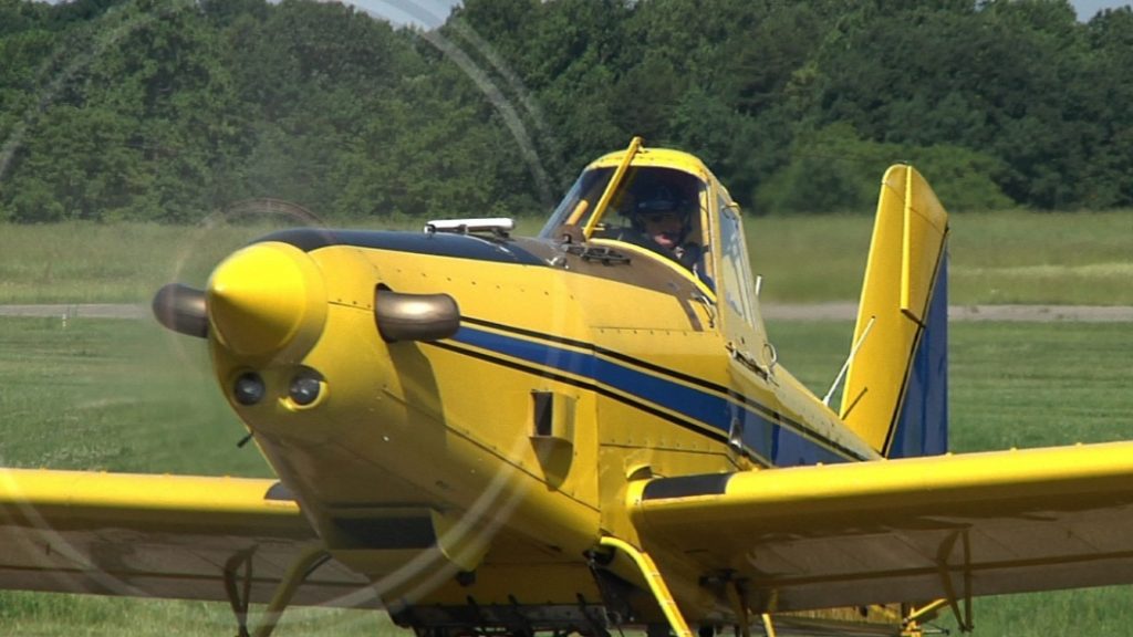 OHIO- Invasive Gypsy Moth- Aerial Treatments to Begin in Ohio - Scioto Post