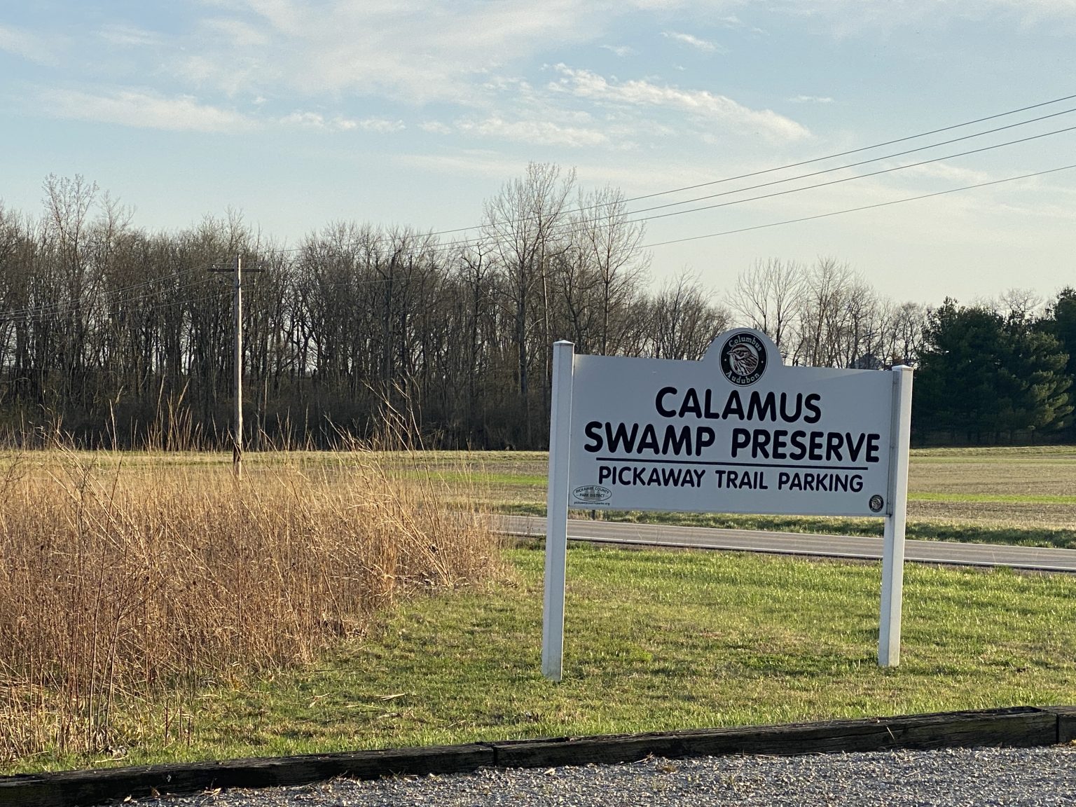 Pickaway Nature Preserve Calamus Swamp Fun for All Ages - Scioto Post