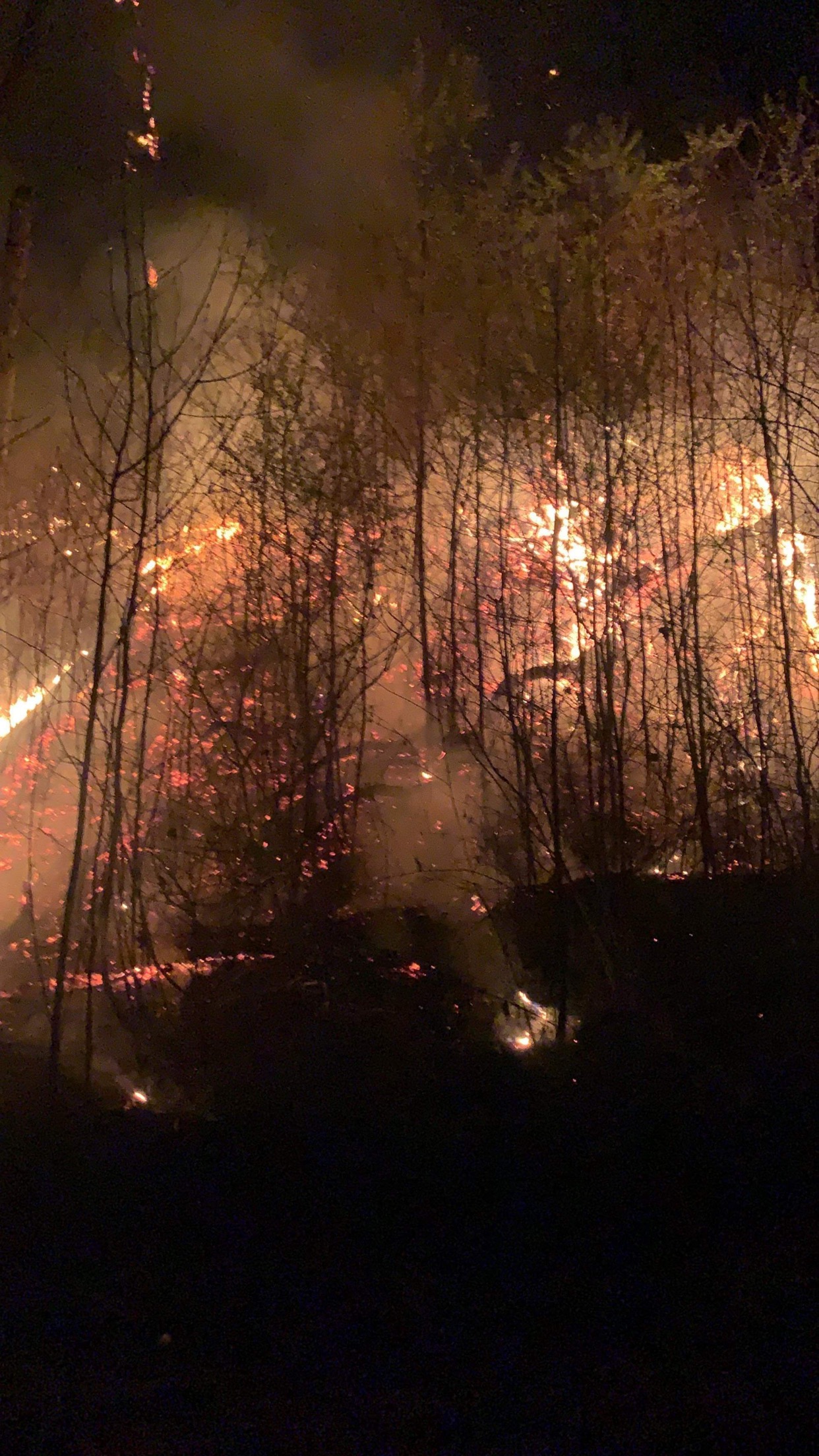 ODNR Says Fire is Officially Out in Tar Hollow After 40 Acres Burned ...