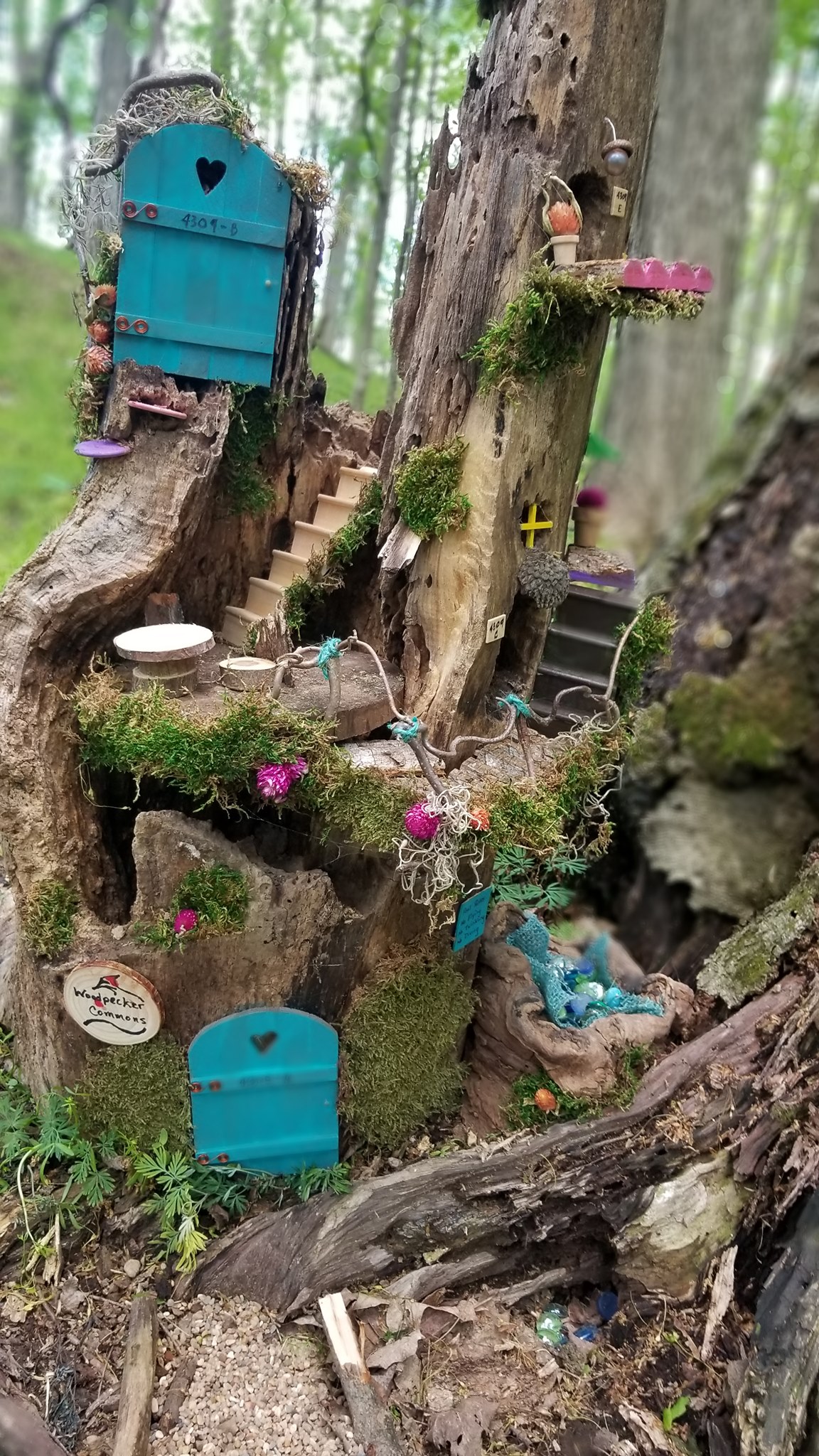 FREE EVENT: Wildflower Trail, Licking Park District Announces Fairy ...
