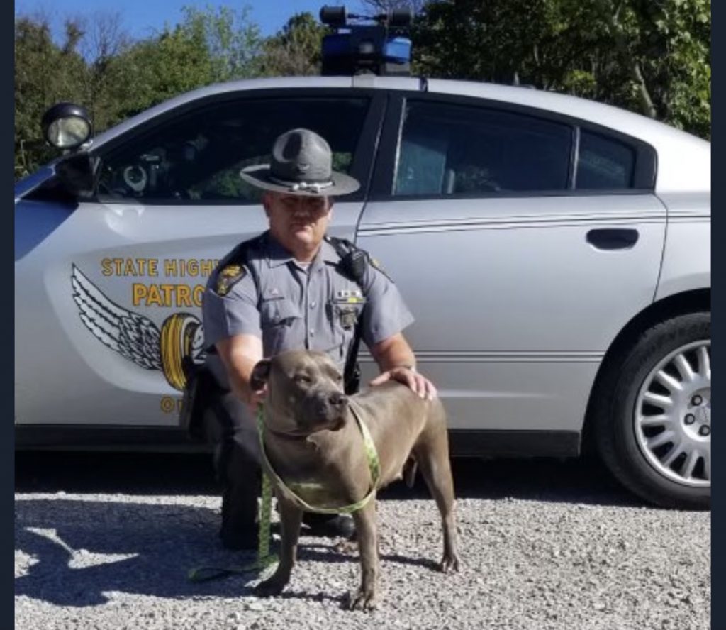 OSP Trooper Adopts Stray Dog After No One Claims Her - Scioto Post