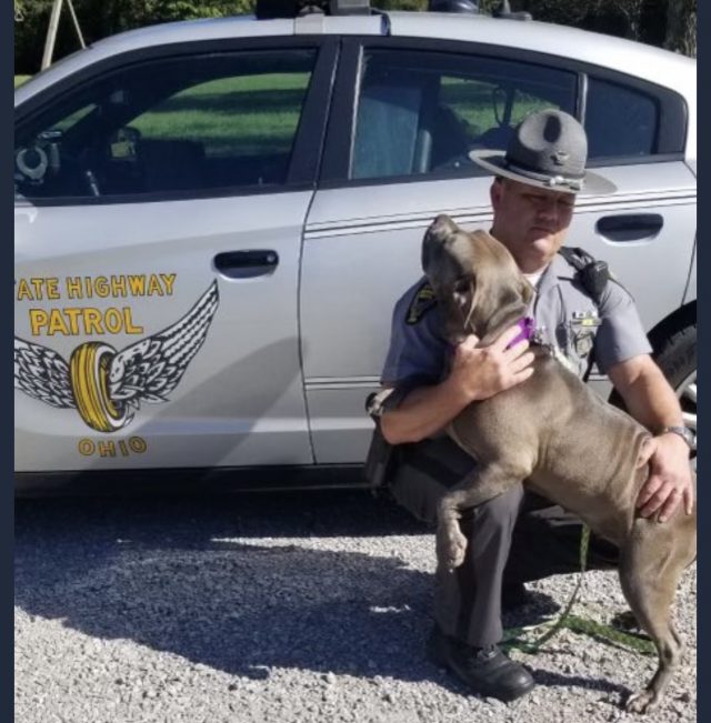 OSP Trooper Adopts Stray Dog After No One Claims Her - Scioto Post