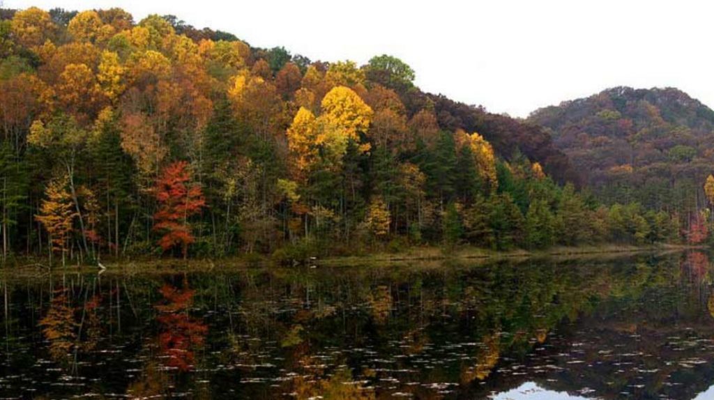 Ohio Announces that Shawnee State Forest in Southern Ohio to Grow 1,200 ...