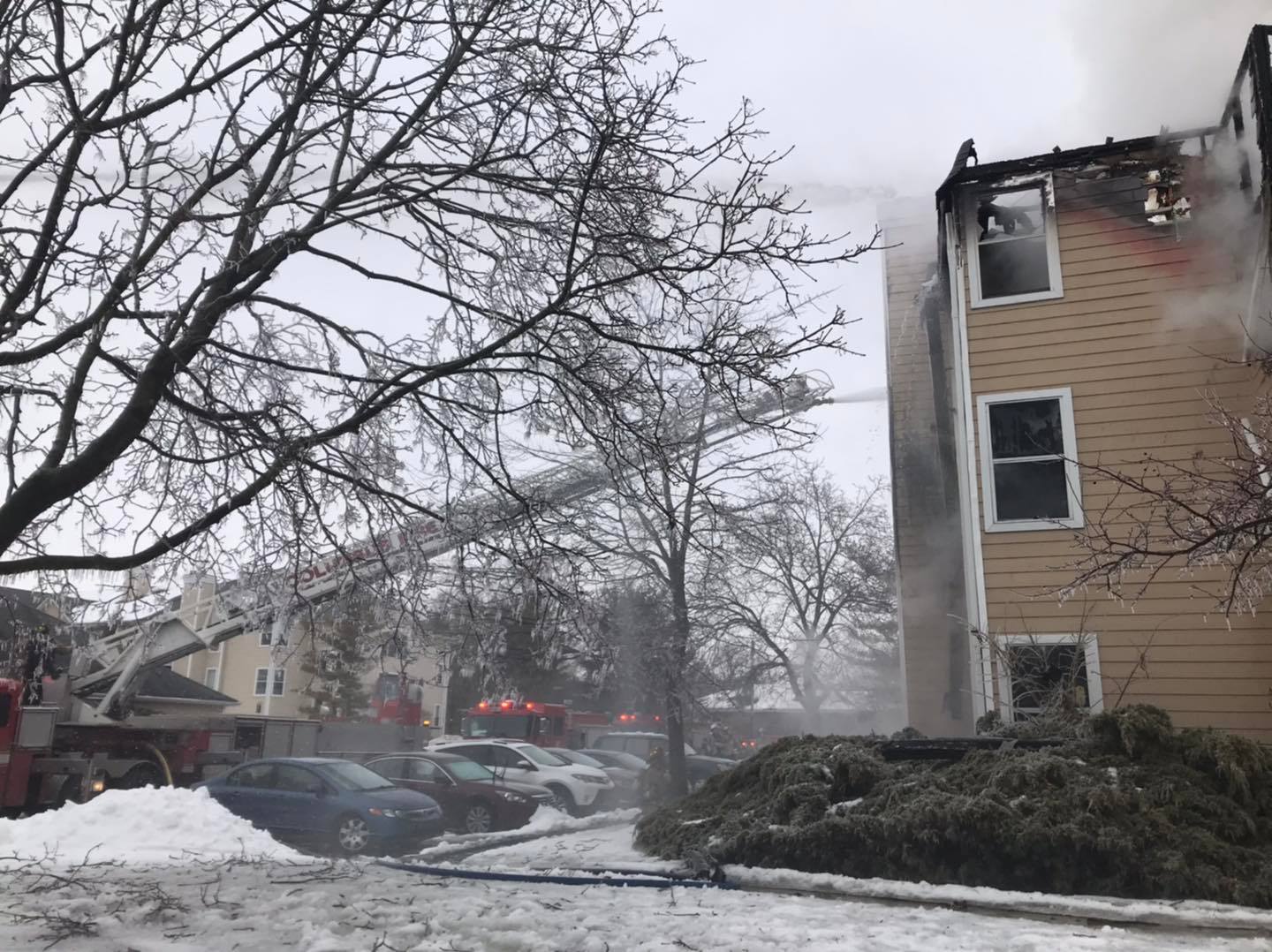 UPDATE: Three People, Two Dogs, and a Cat Saved in Third Story ...