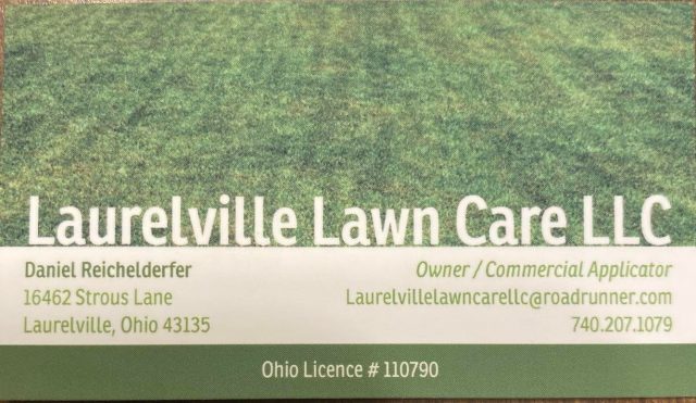 Mayflies Swarm to Port Clinton, Horde So Big it is Seen on Radar ...