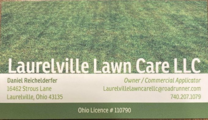 Mayflies Swarm to Port Clinton, Horde So Big it is Seen on Radar ...