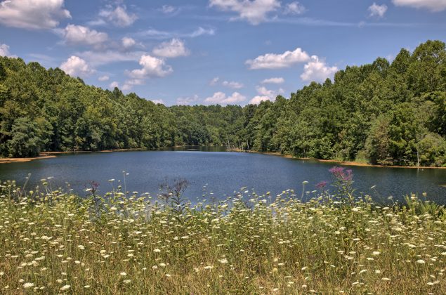 Ohio’s Largest Wildlife Area Grows by 6,898 Acres - Scioto Post