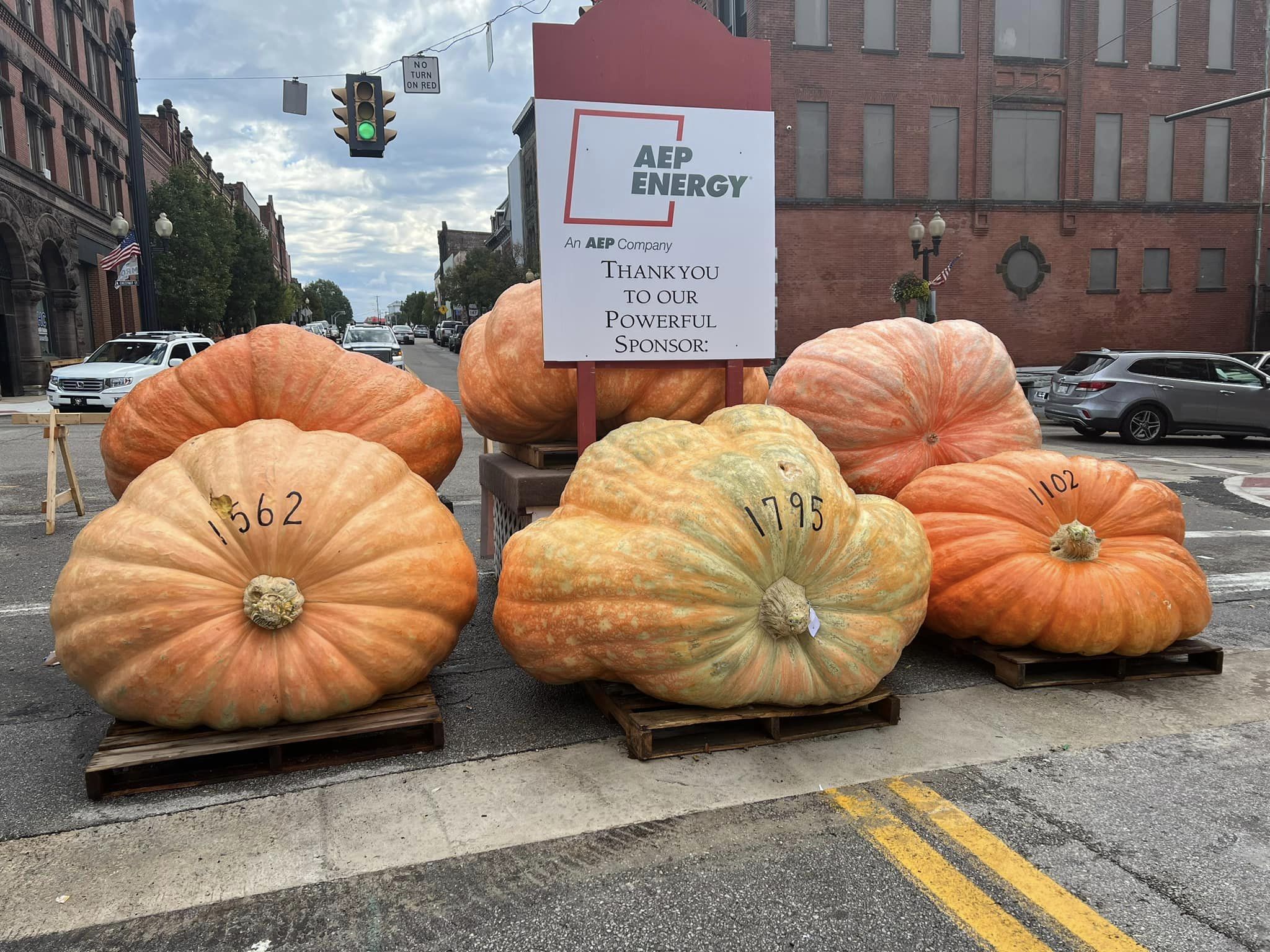 Giant Pumpkin Breaks Records in Ohio Pumpkin Festival - Scioto Post