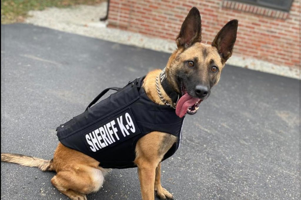 Hocking County - Sheriff's Office K9 Receives Body Armor - Scioto Post