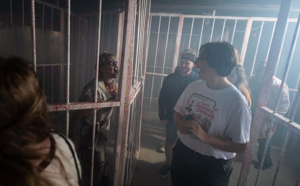 ZOMBIEzi BAY Takes Over at the Zoo for the Regions Largest Halloween ...