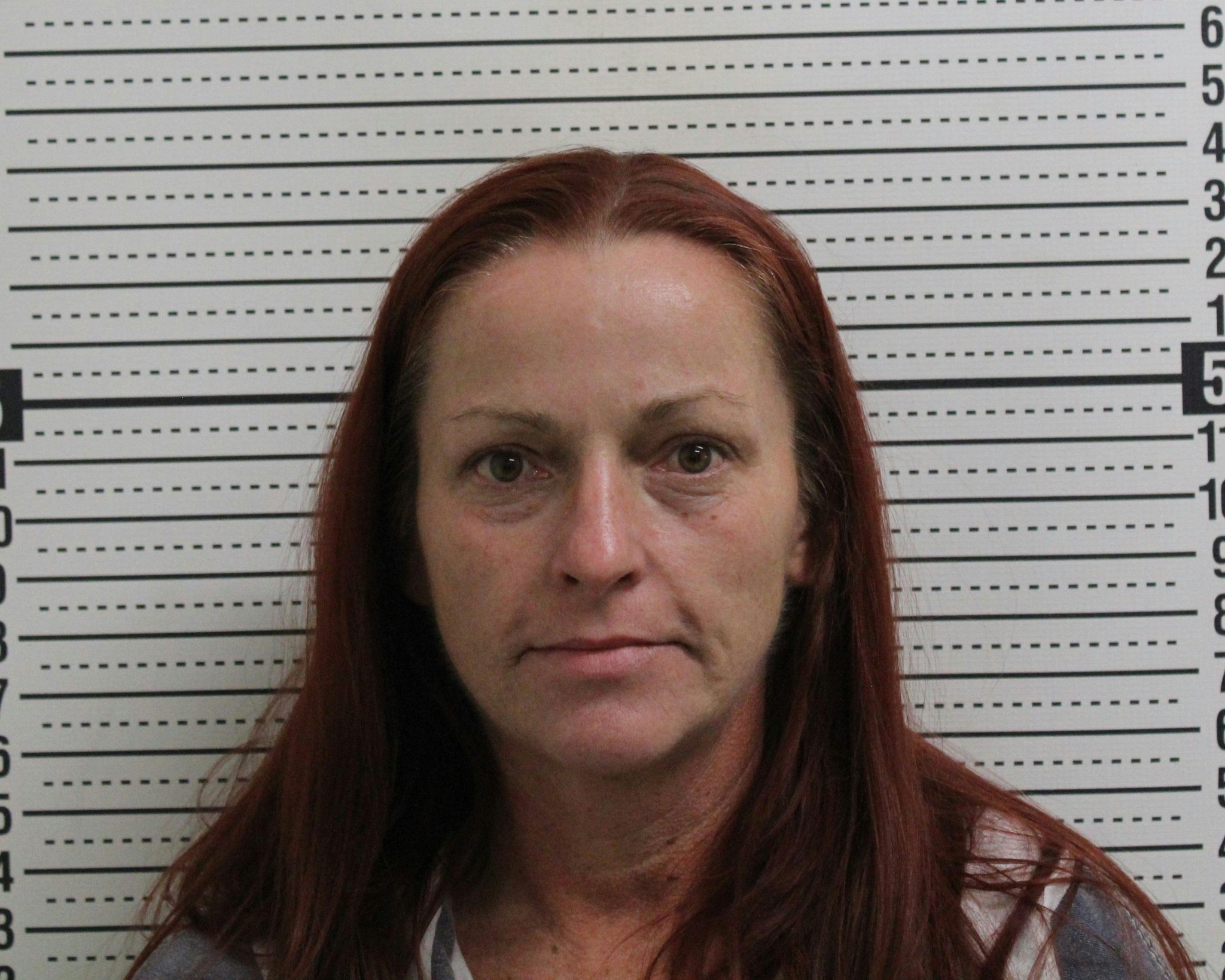 Ross County - Woman Attempts to Recruit Inmates to Beat Up Man in ...