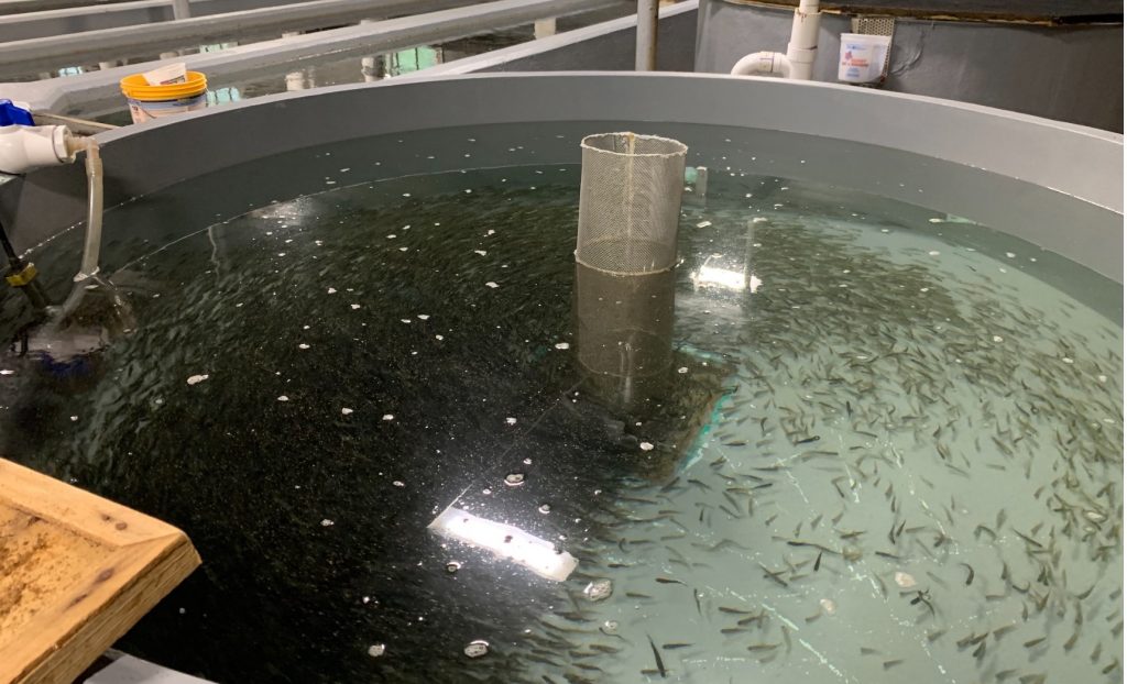 Ohio Invites You to Get Hooked on Fish Hatchery Open Houses This Spring ...