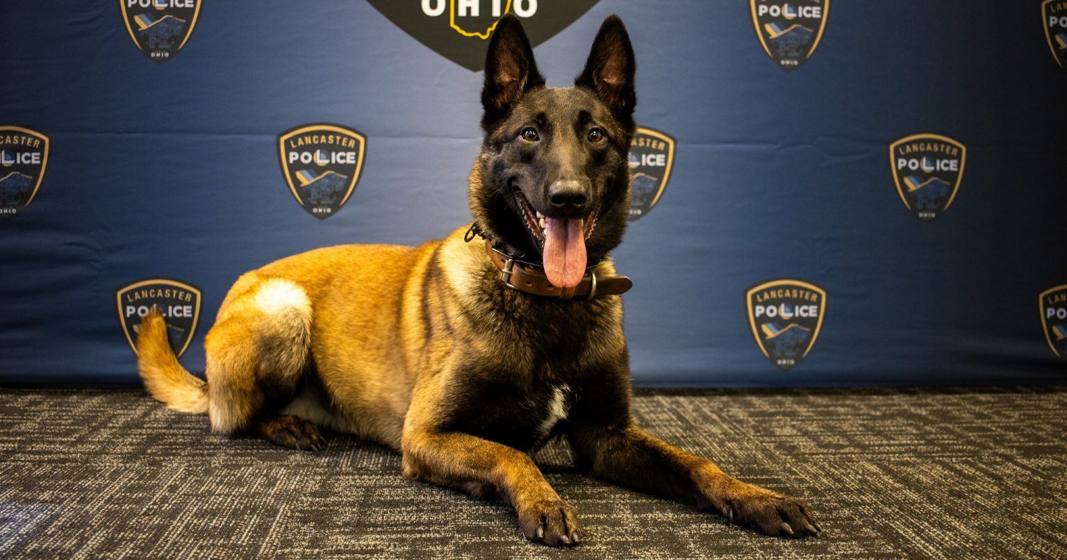 Lancaster Police Department Welcomes New K9 Addition: Meet K9 Barry ...