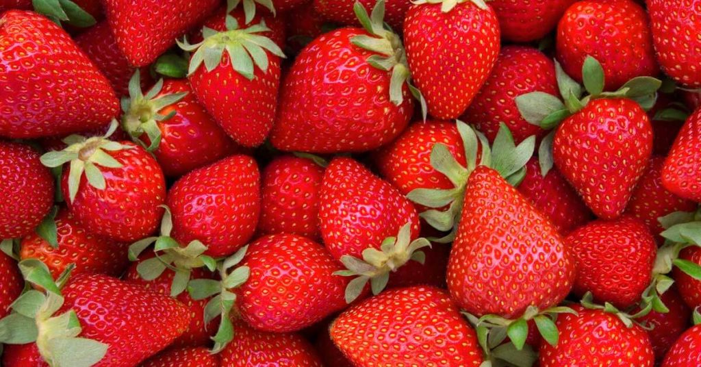 Ross County Farm Announces No Strawberry Crop for 2025 Due to Plant ...