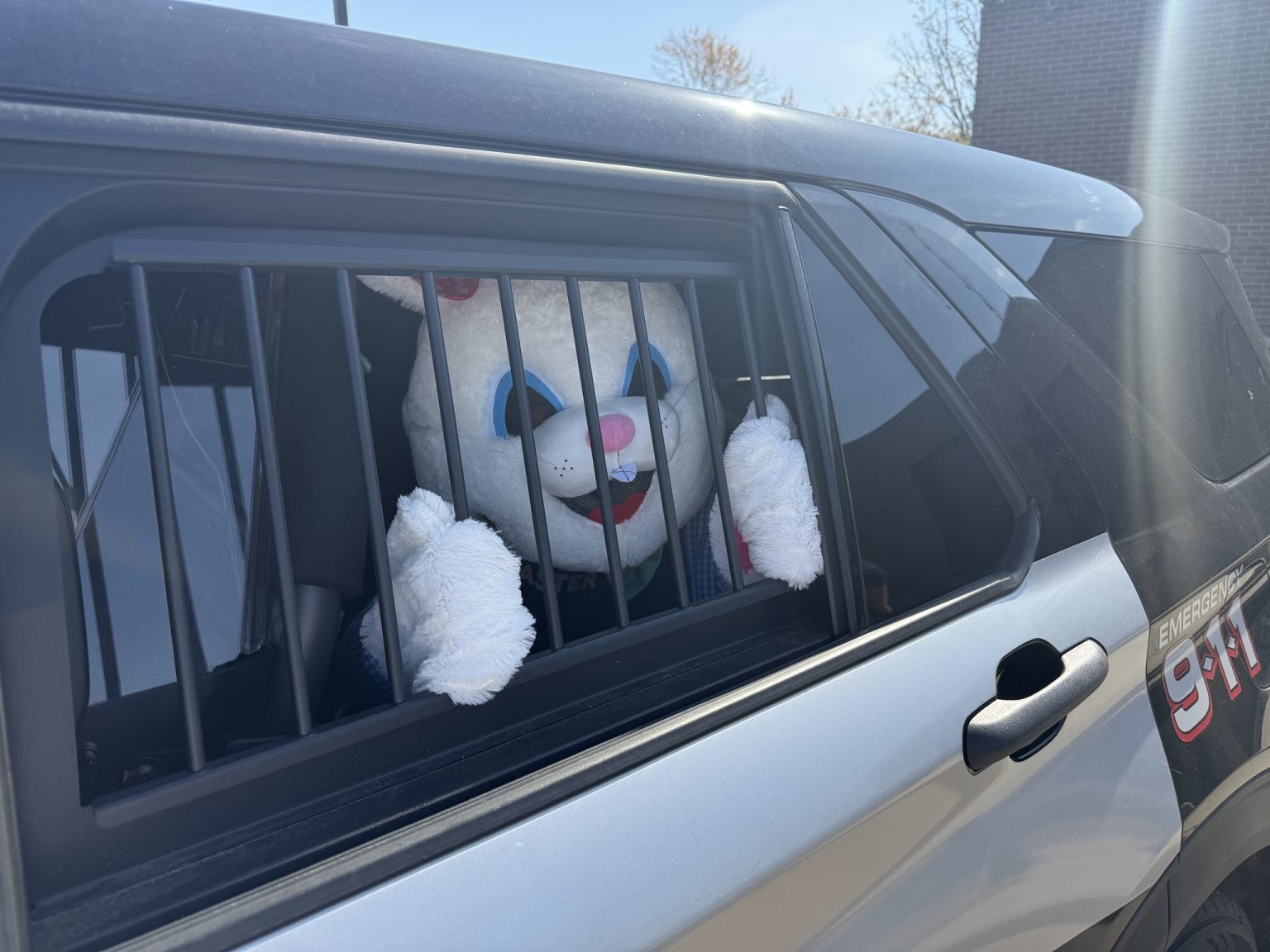 Ohio Police Department Arrest Easter Bunny After Candy Catastrophe ...
