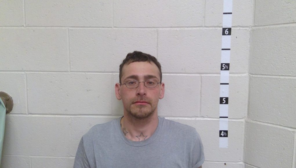 People are Seeing Crawdads in Their Yards in Ohio, and They are ...