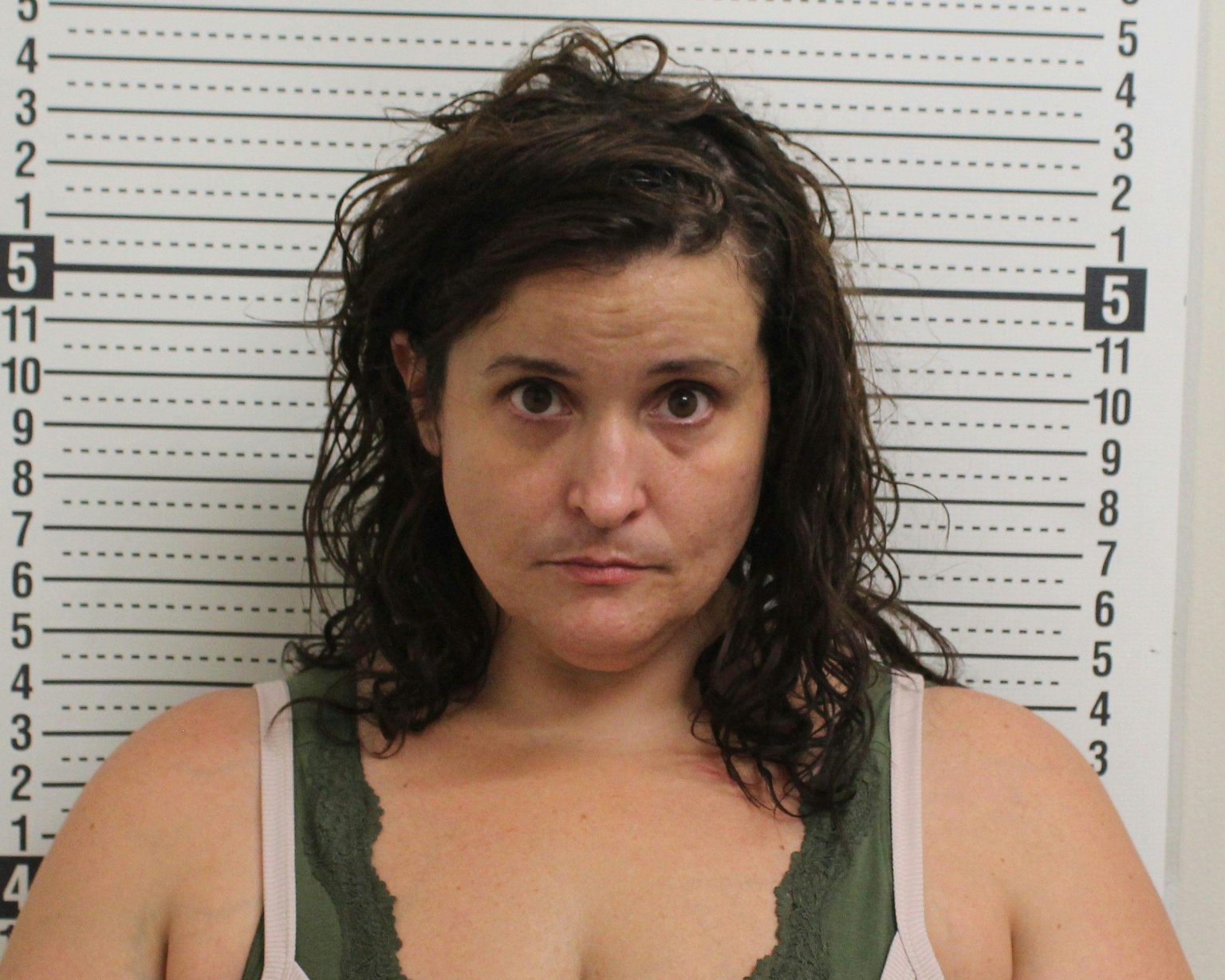 Ross County - Female Driver Arrested After Pursuit on US-23; Passenger ...