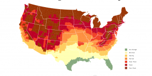 Circleville Pumpkin Show Set to Shine with Peak Fall Foliage - Scioto Post