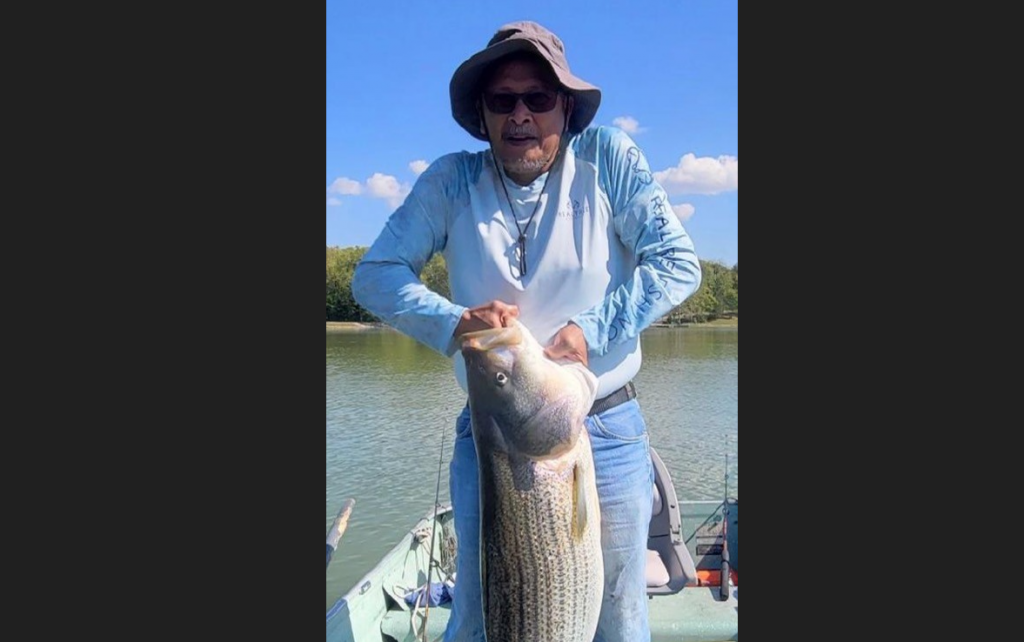 71 Year OId Ohio Angler Lands Record-Breaking Striped Bass with Thin ...