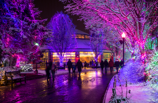 Wildlights Returns for 37th Year at Columbus Zoo with Dazzling New Displays - Scioto Post