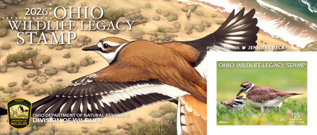 New 2026 Ohio Wildlife Legacy Stamp Features Iconic Killdeer; Sales ...